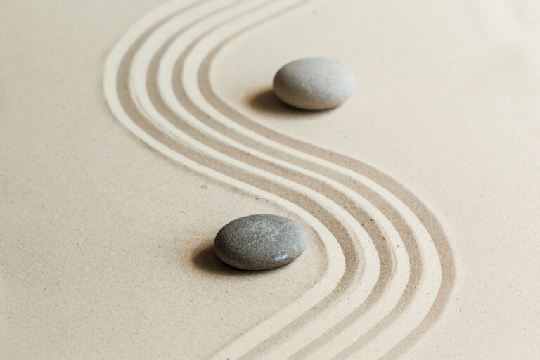 The Art of Simplicity in Business: Why Less Leads to More - Numbers Coach